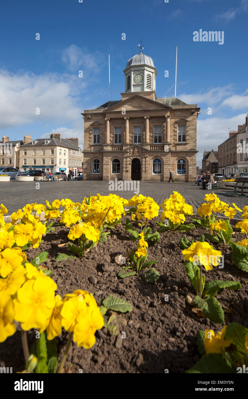 Yellow flowers in scotland hi-res stock photography and images - Alamy