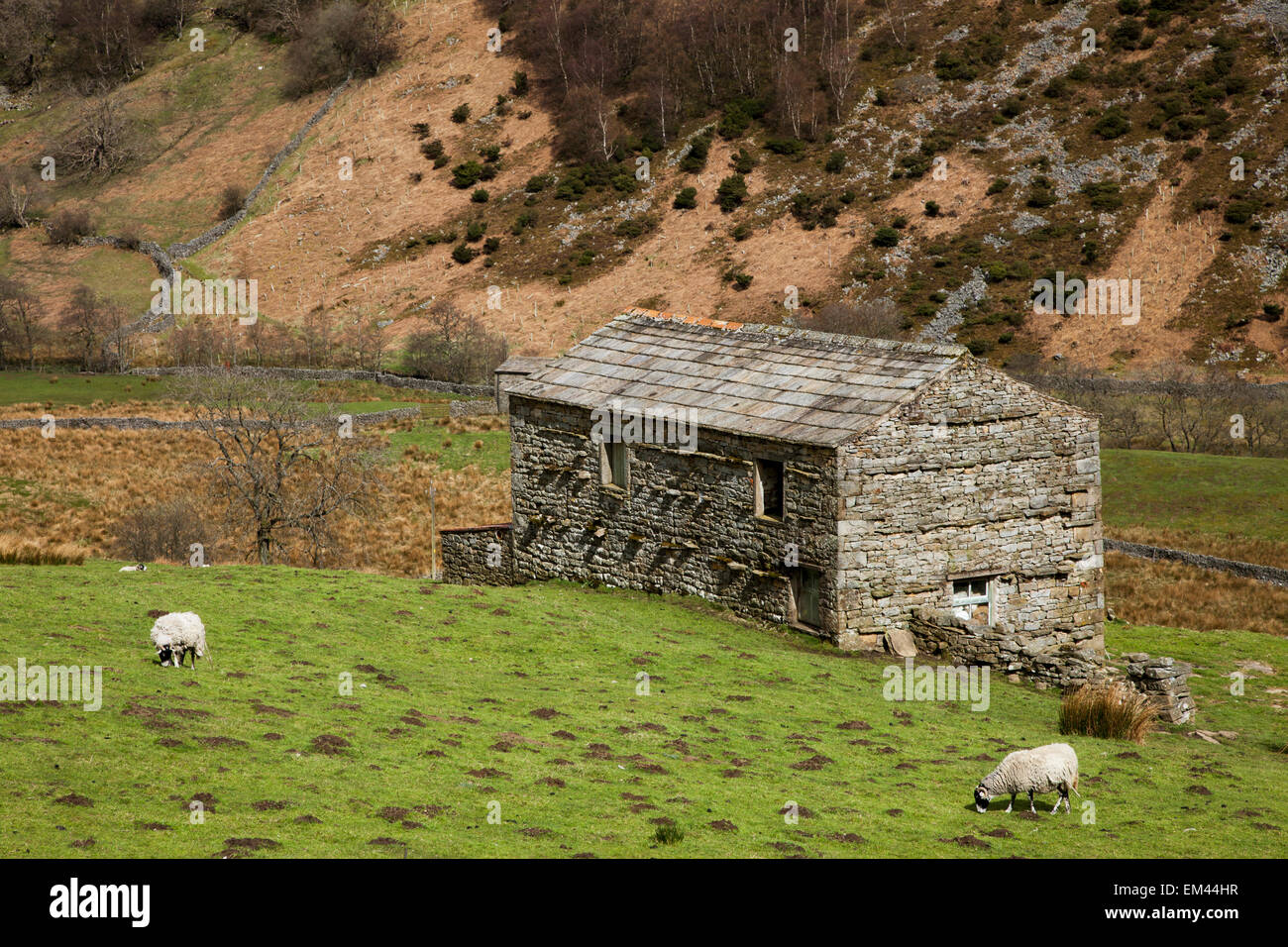 Sheep shed trees hills hi-res stock photography and images - Alamy