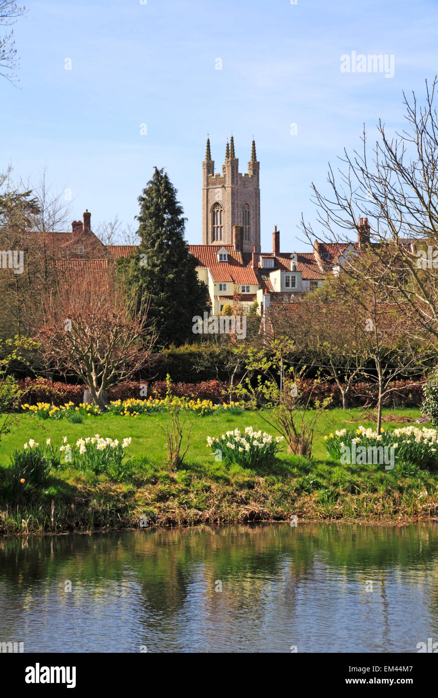 A view of the Priory church tower from Falcon Meadow at Bungay, Suffolk ...