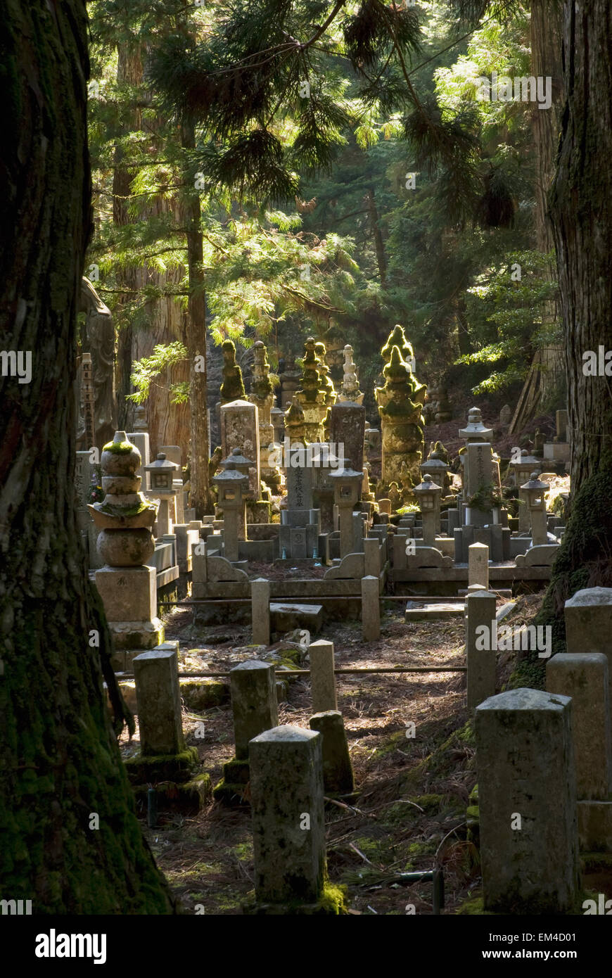 Traditional Japanese Cemetery In The Woods; Koyasan Wakayama Japan ...