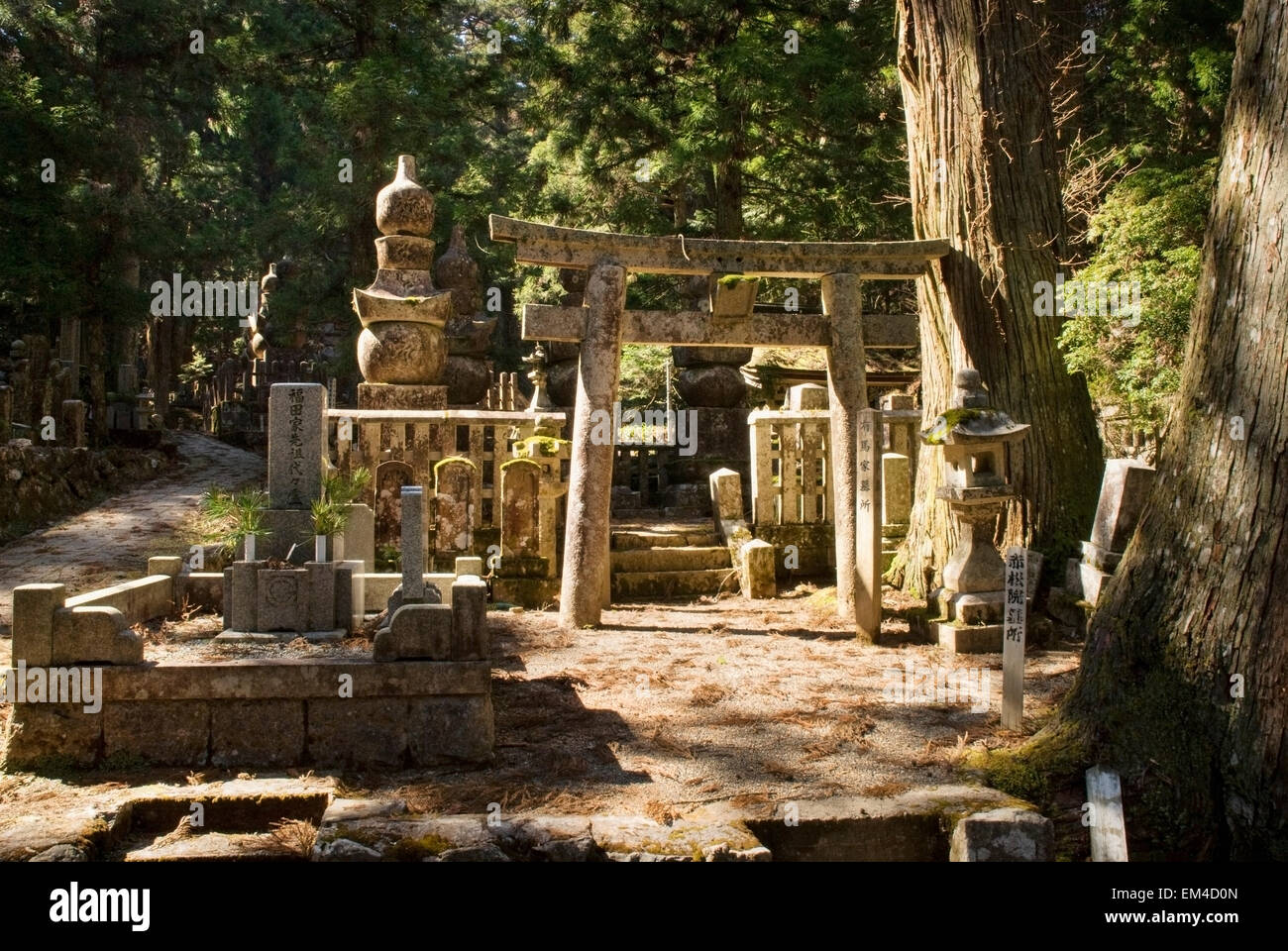Traditional Japanese Cemetery In The Woods; Koyasan Wakayama Japan ...