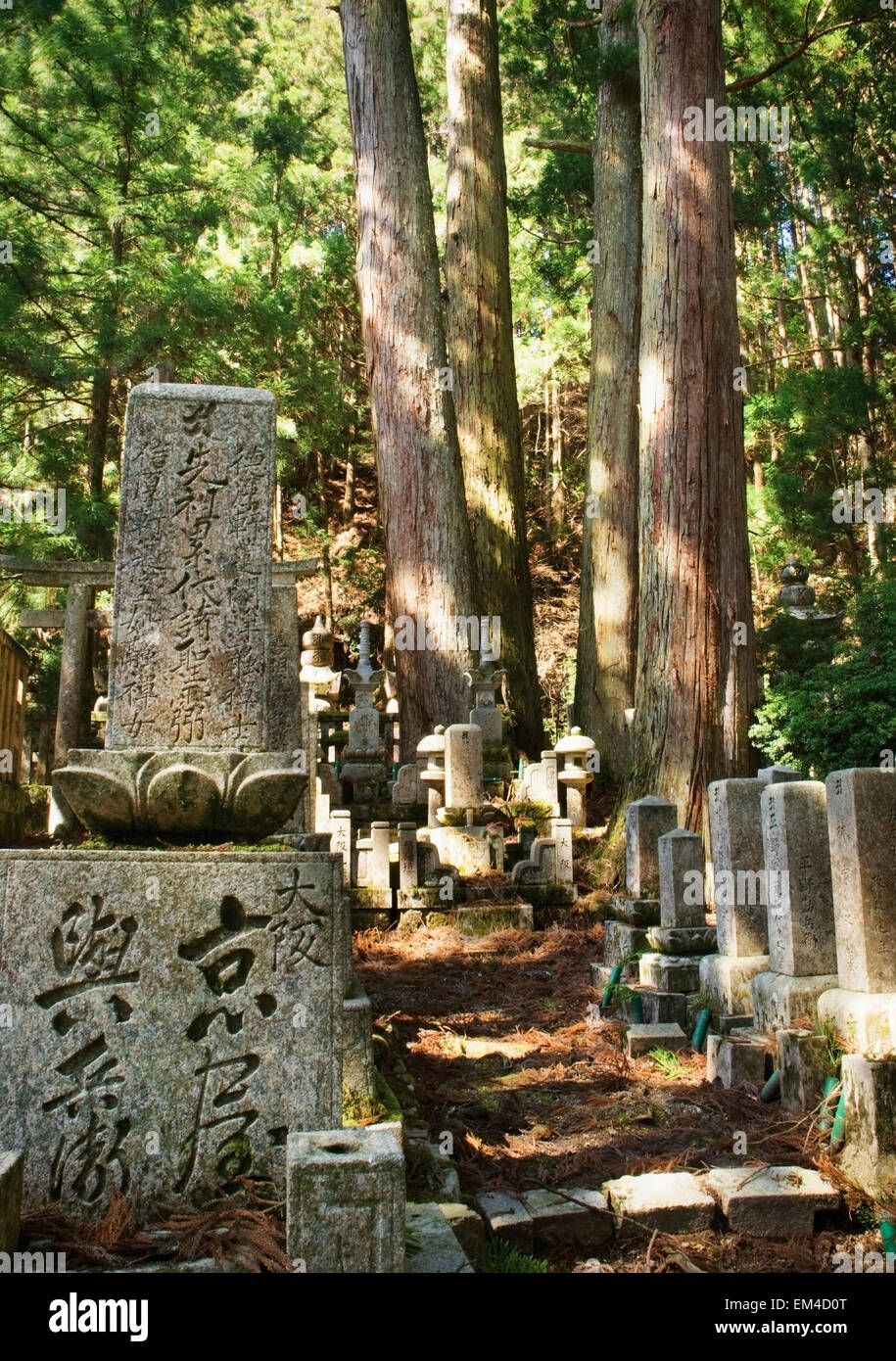 Traditional Japanese Cemetery In The Woods; Koyasan Wakayama Japan ...