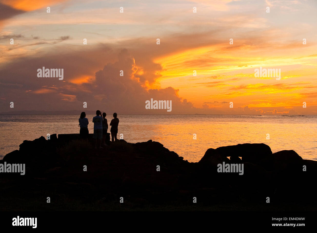Island of niihau hi-res stock photography and images - Alamy