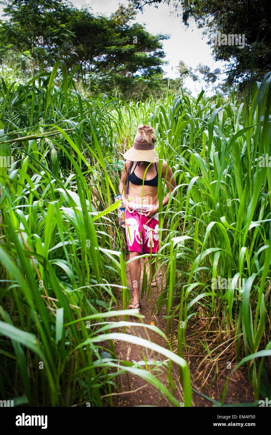 Path To The Secret Swimming Hole Of Kipu Falls; Kauai Hawaii Usa Stock ...