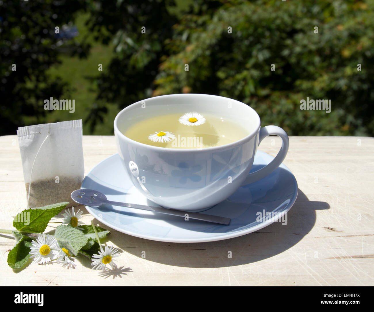 Chamomile tea in a glass cup Stock Photo - Alamy