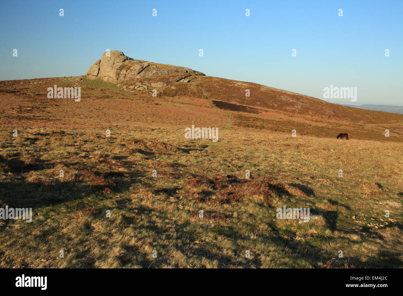 Spring view of Haytor, Dartmoor, Devon, England, UK Stock Photo - Alamy