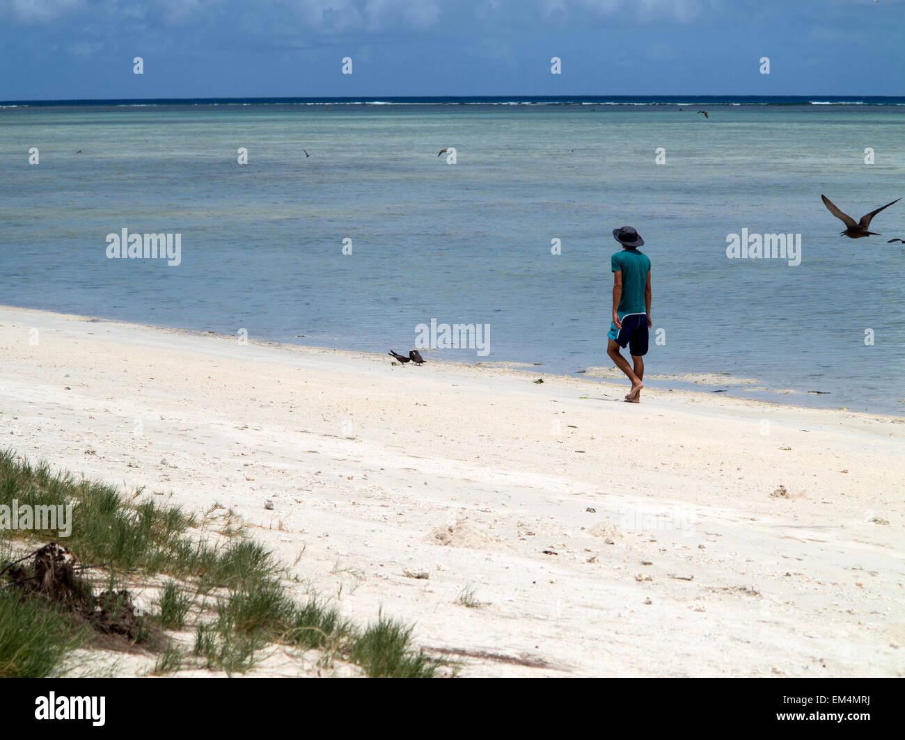 Coco island hi-res stock photography and images - Alamy