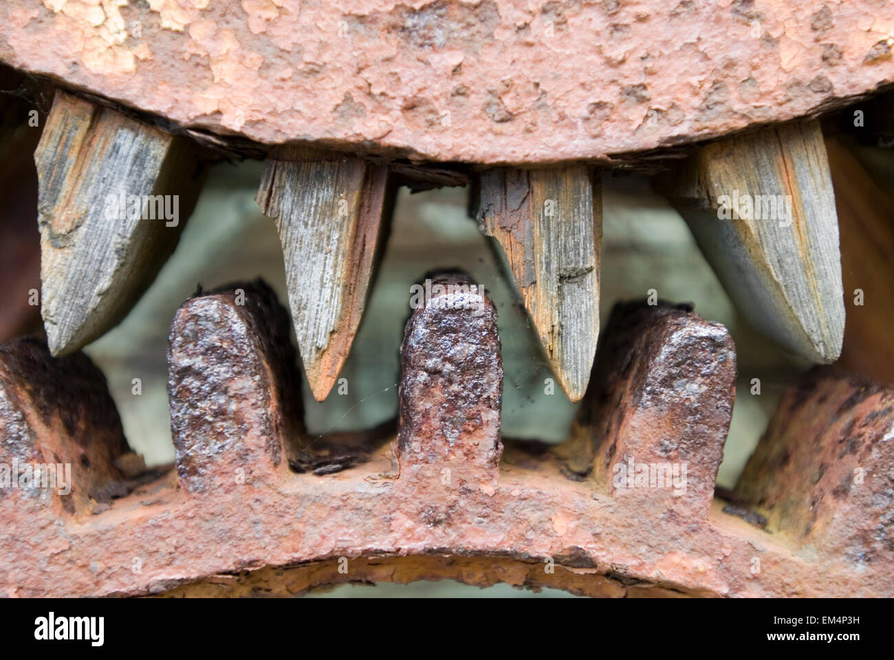 Wooden teeth hi-res stock photography and images - Alamy