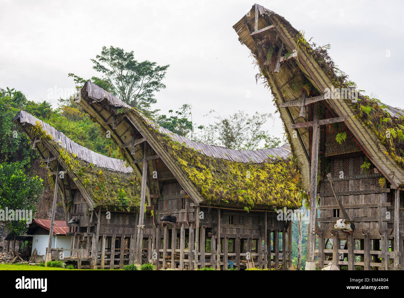 Outstanding local architecture, boat shaped rooftop and decoration in a ...