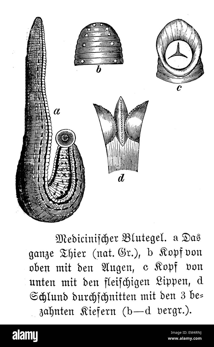 Medical graphics hi-res stock photography and images - Alamy