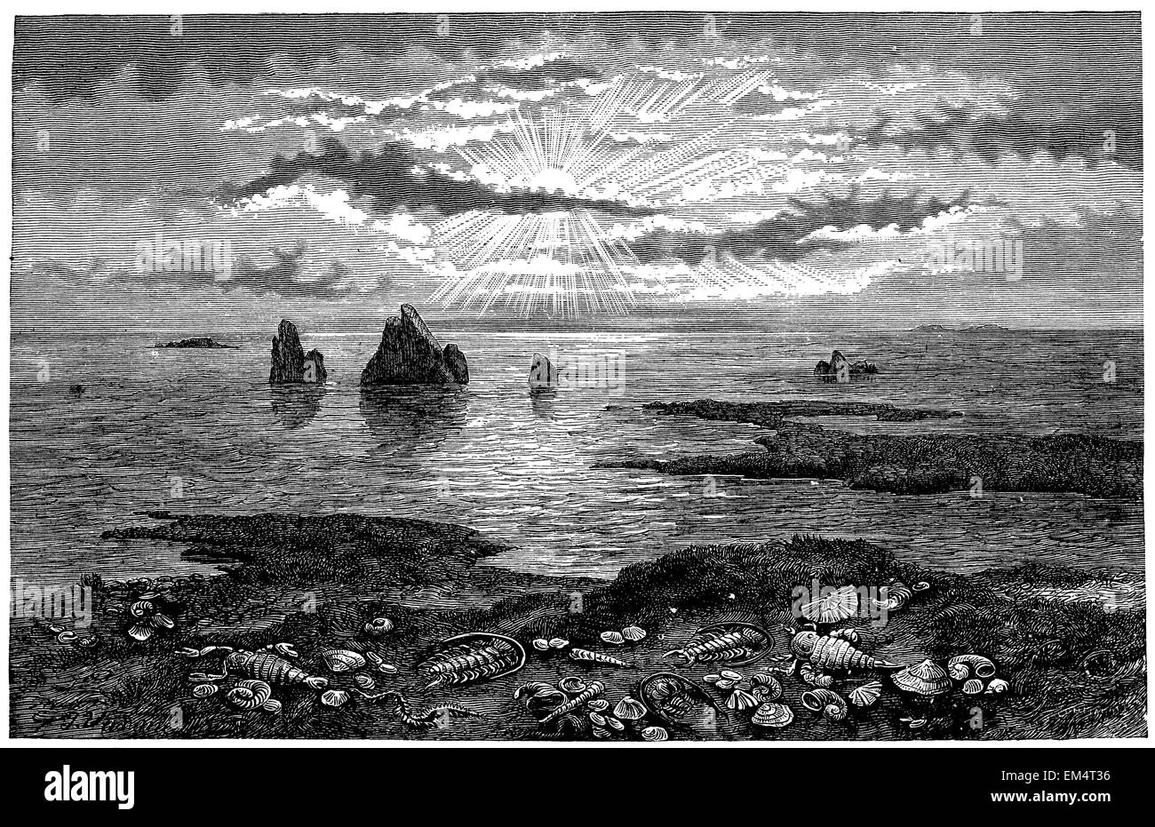 Silurian period hi-res stock photography and images - Alamy