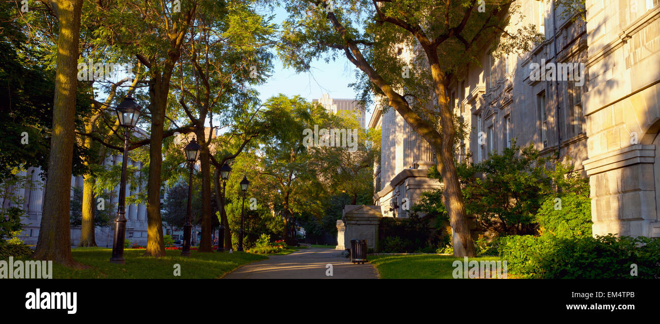Old Montreal Courthouse; Montreal Quebec Canada Stock Photo - Alamy