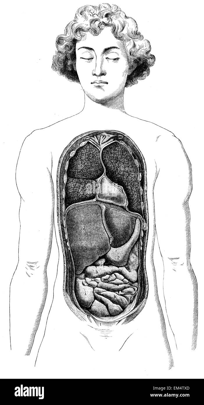 Abdominal hi-res stock photography and images - Alamy