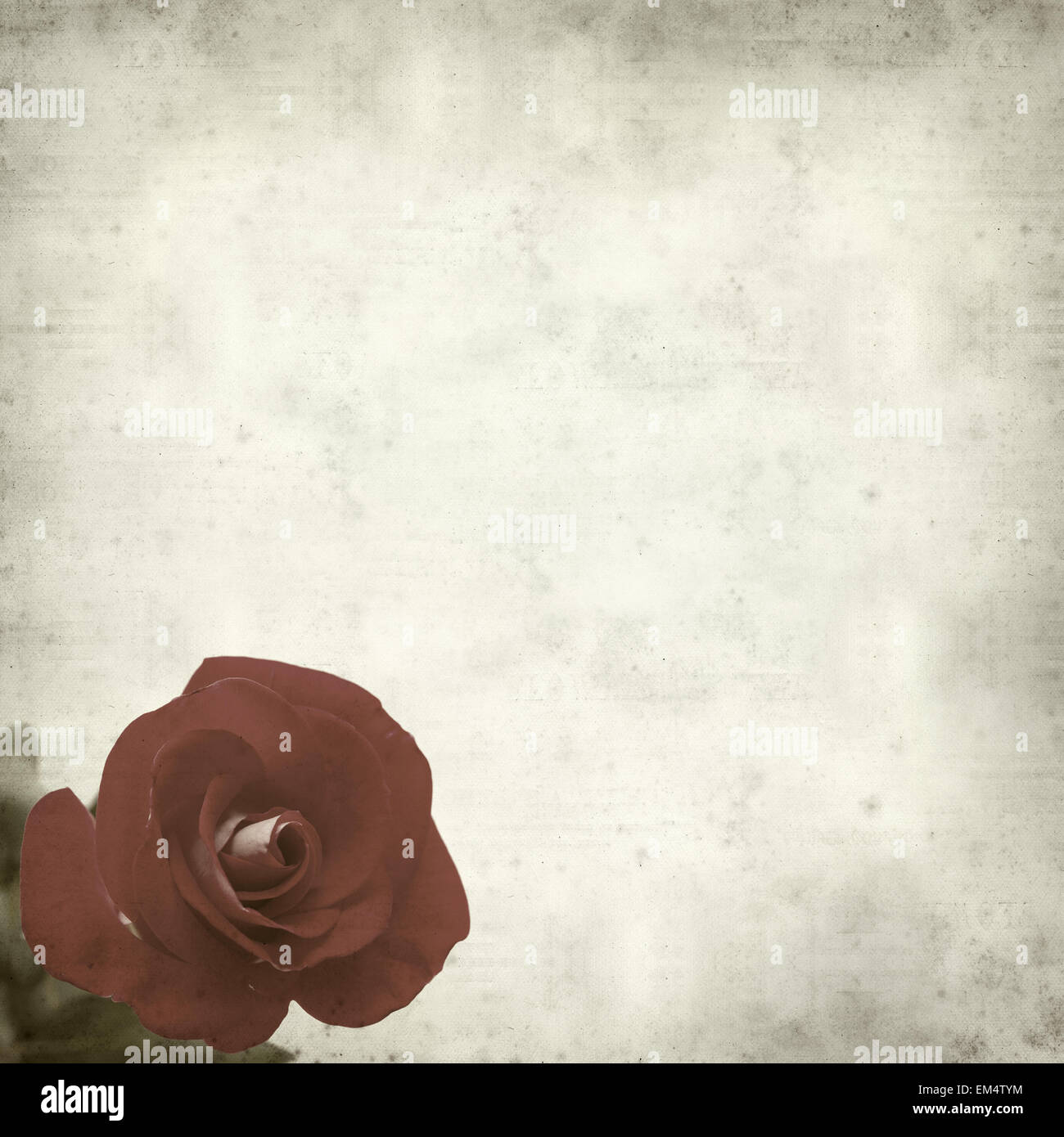 textured old paper background with two-toned roses Stock Photo - Alamy
