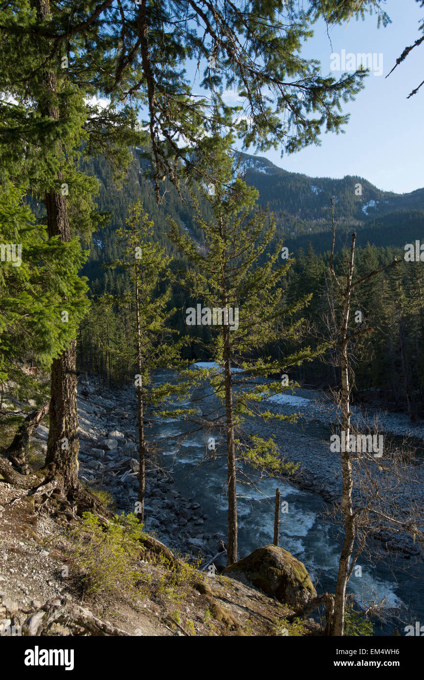 River flowing through forest, Nairn Falls Provincial Park, Whistler ...