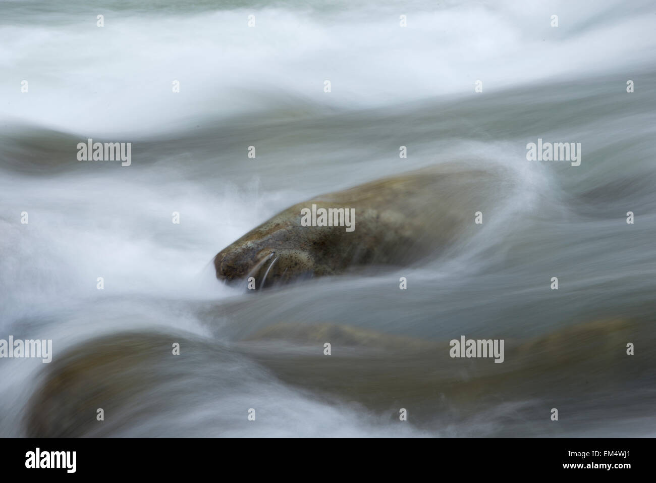 Stream flowing through rocks, Whistler, British Columbia, Canada Stock ...