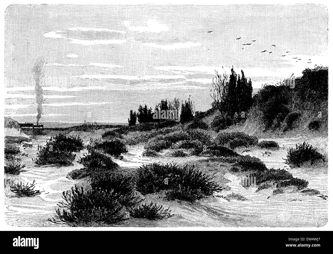 Countryside line drawing hi-res stock photography and images - Alamy