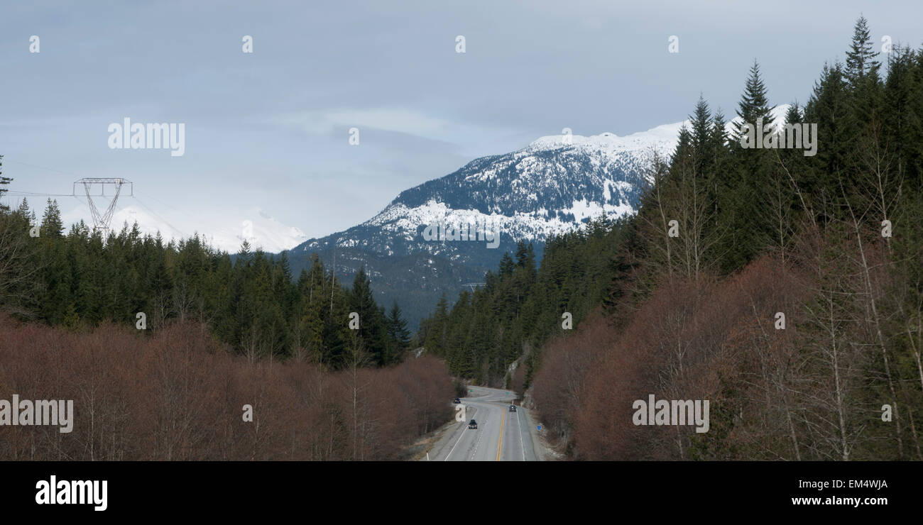 Road through forest, Whistler, British Columbia, Canada Stock Photo - Alamy