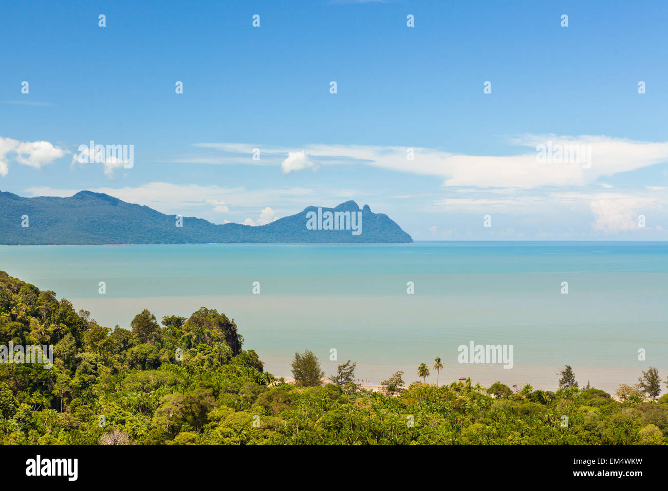 With jungle landscape hi-res stock photography and images - Alamy