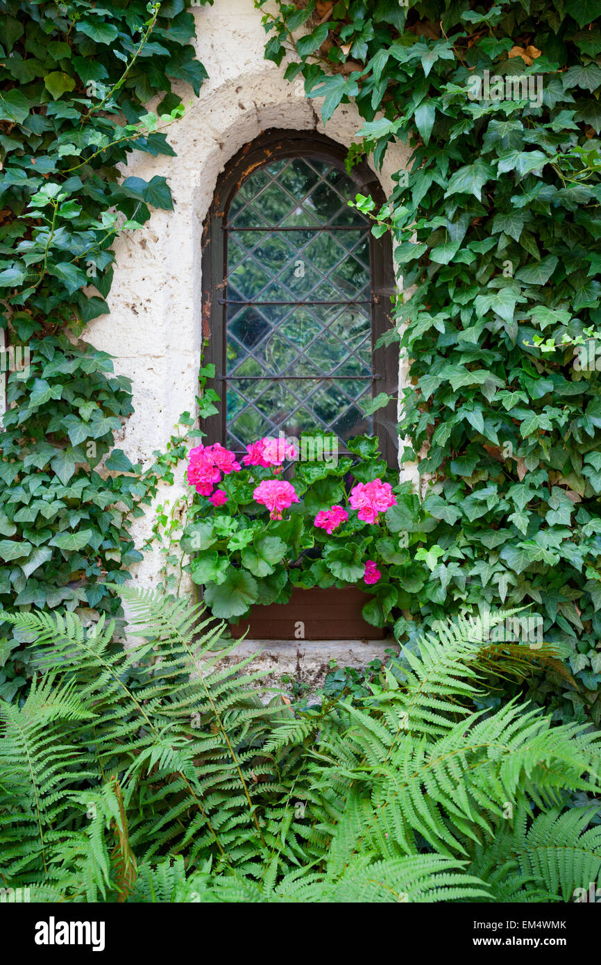 Castle window with pink flowers hi-res stock photography and images - Alamy