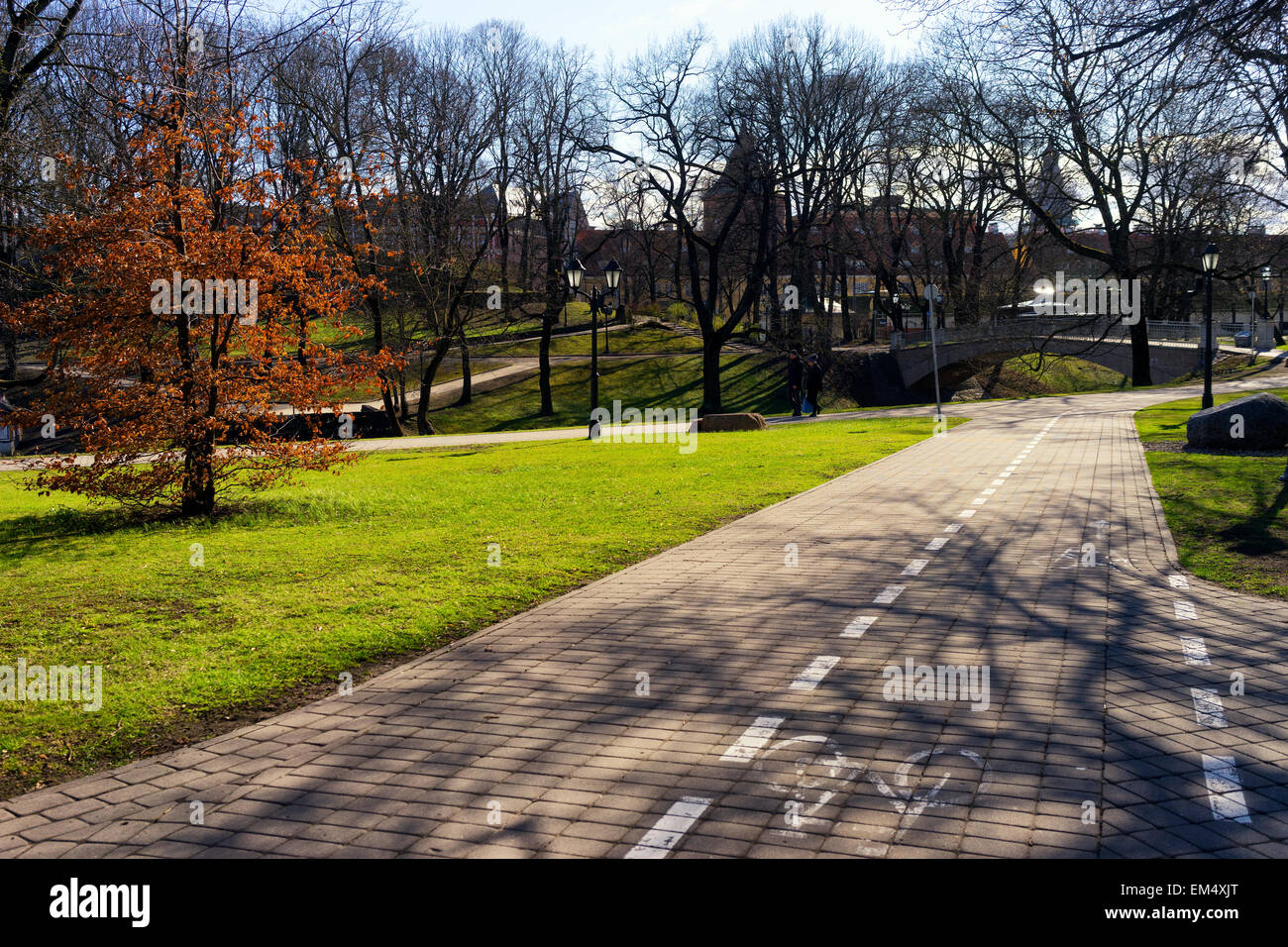Cycle path in spring in a forest hi-res stock photography and images ...