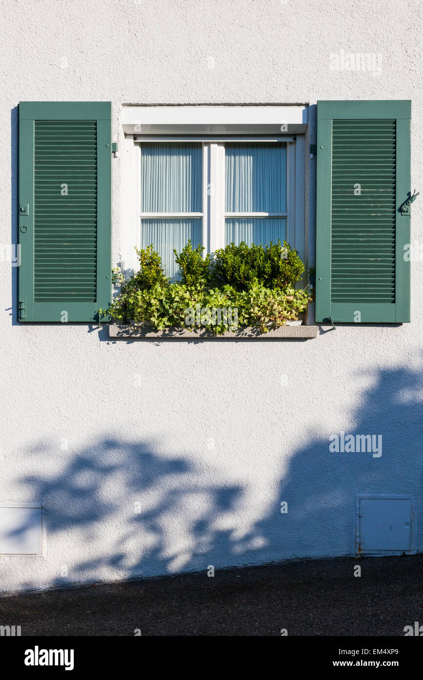 Window and plants simple Stock Photo - Alamy