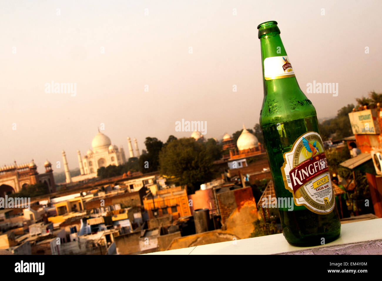 Taj Mahal Beer