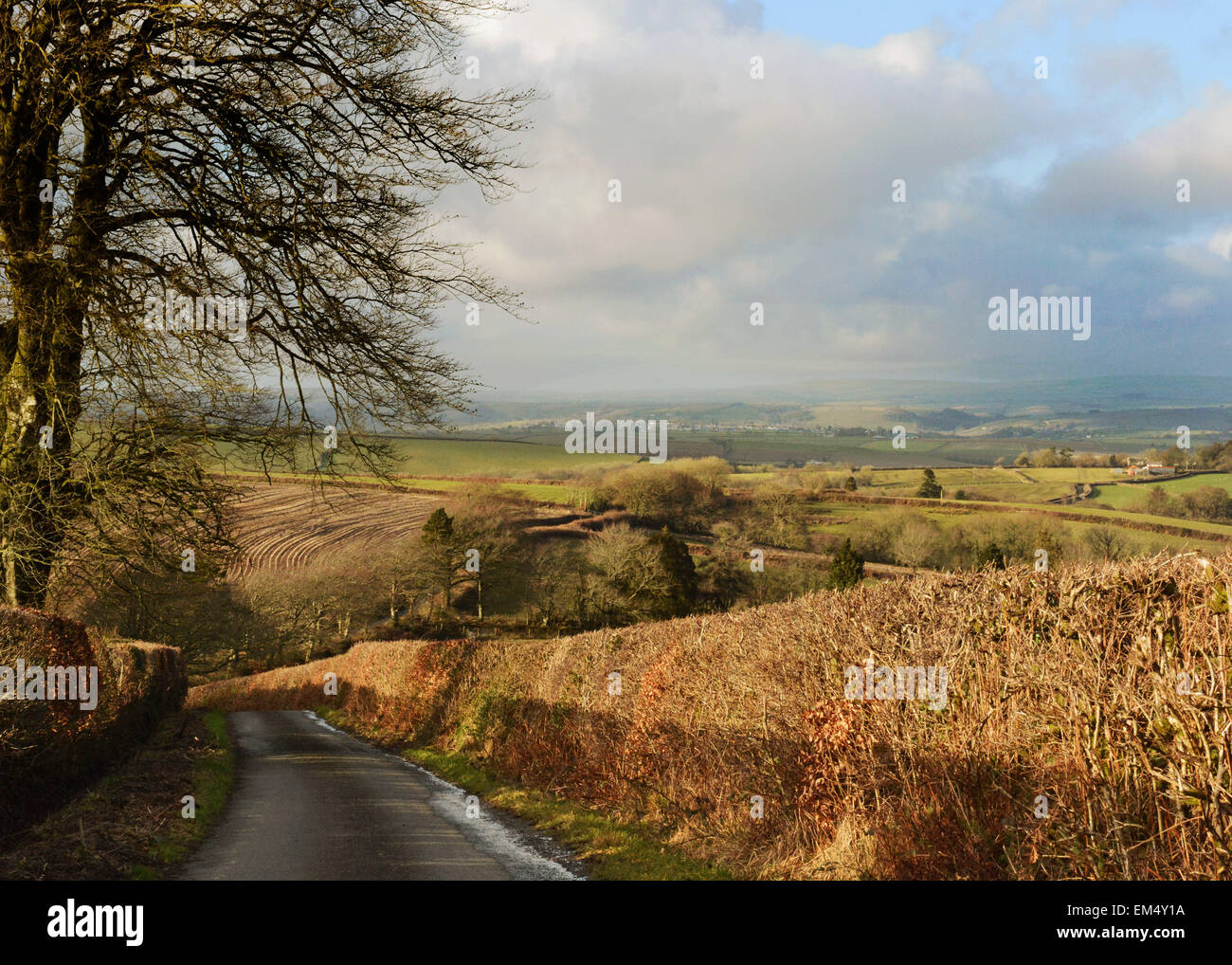 A Winters View of Devon countryside (between South Molton and ...