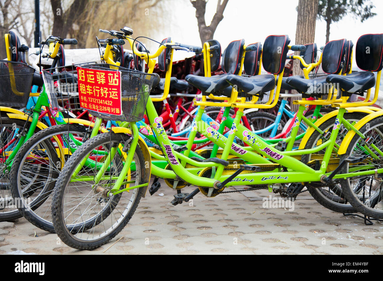 Yellow bright bike rental bicycles hi-res stock photography and images ...