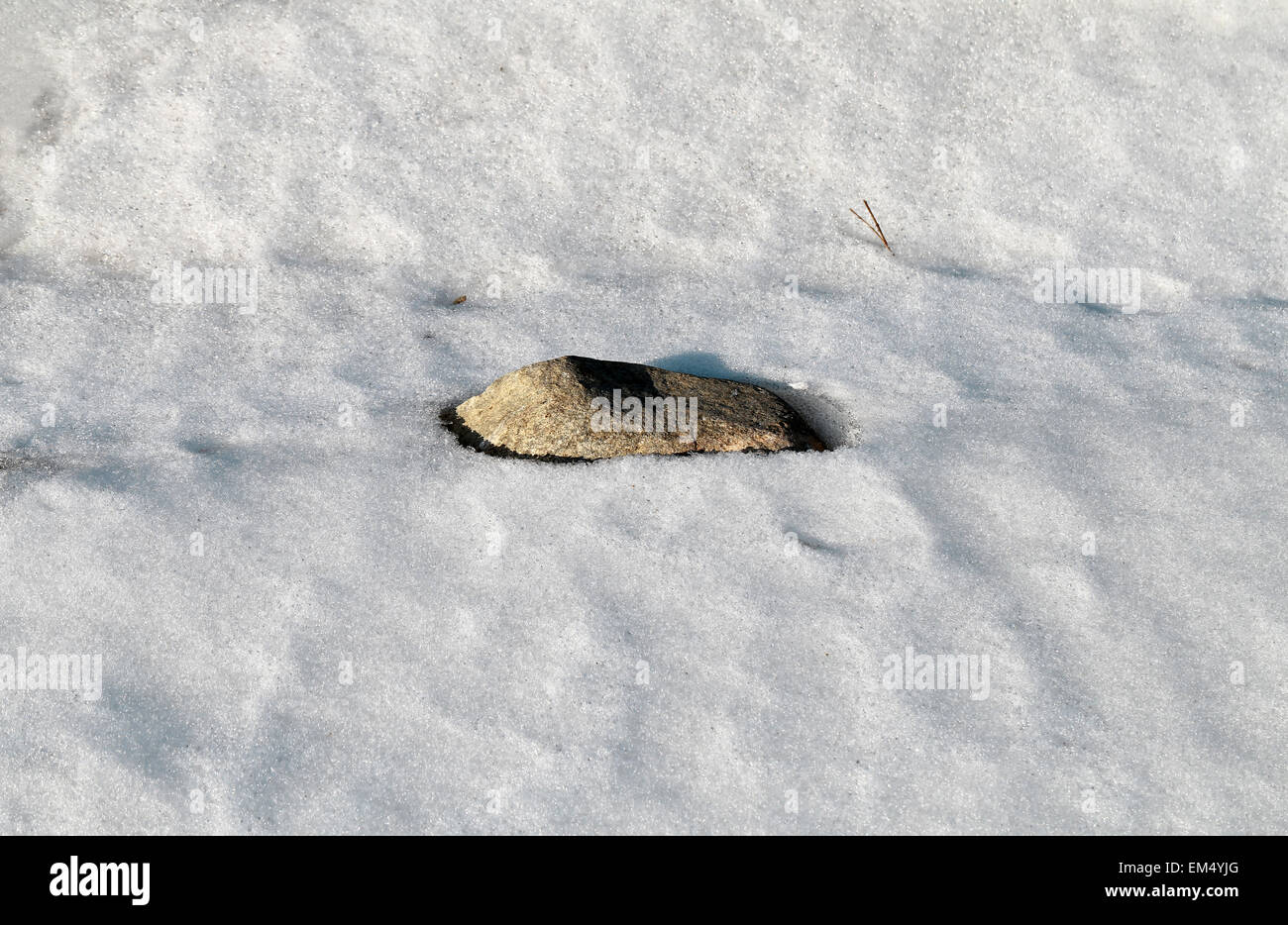 Spring snow thawed on the ground close up Stock Photo - Alamy