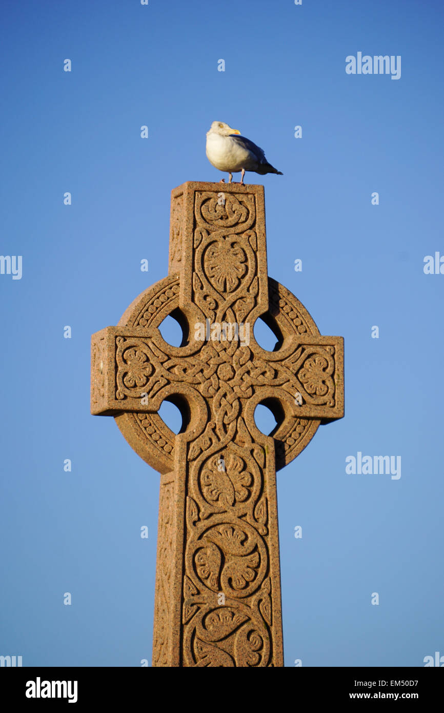 Seagull sitting on Celtic Cross Stock Photo - Alamy