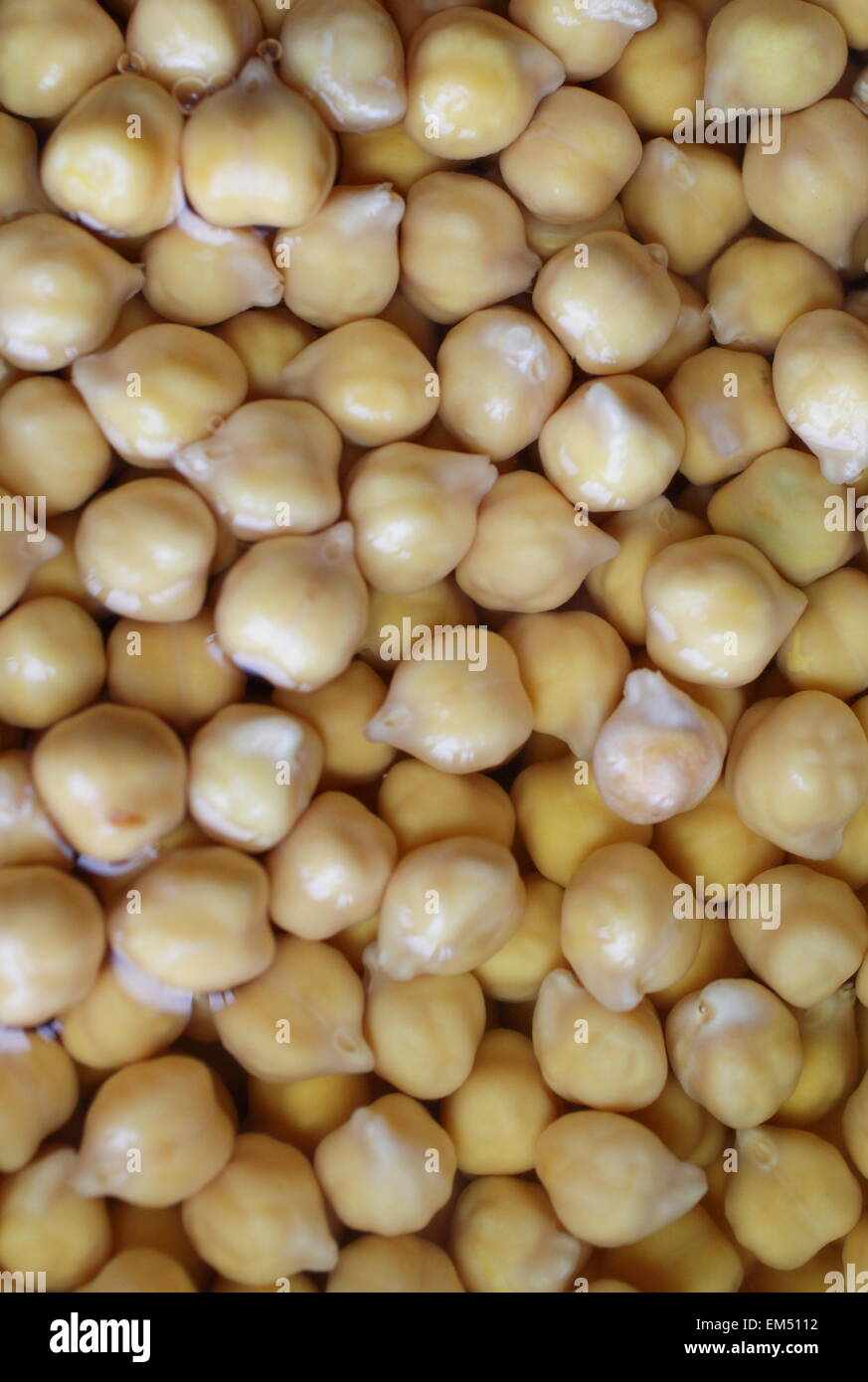 Chickpeas close up Stock Photo - Alamy