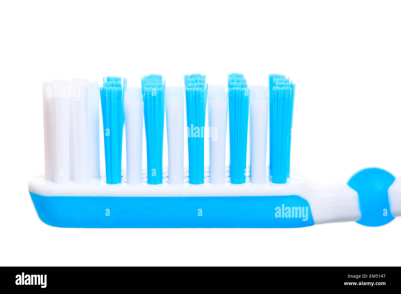 toothbrush head close-up on white background Stock Photo - Alamy