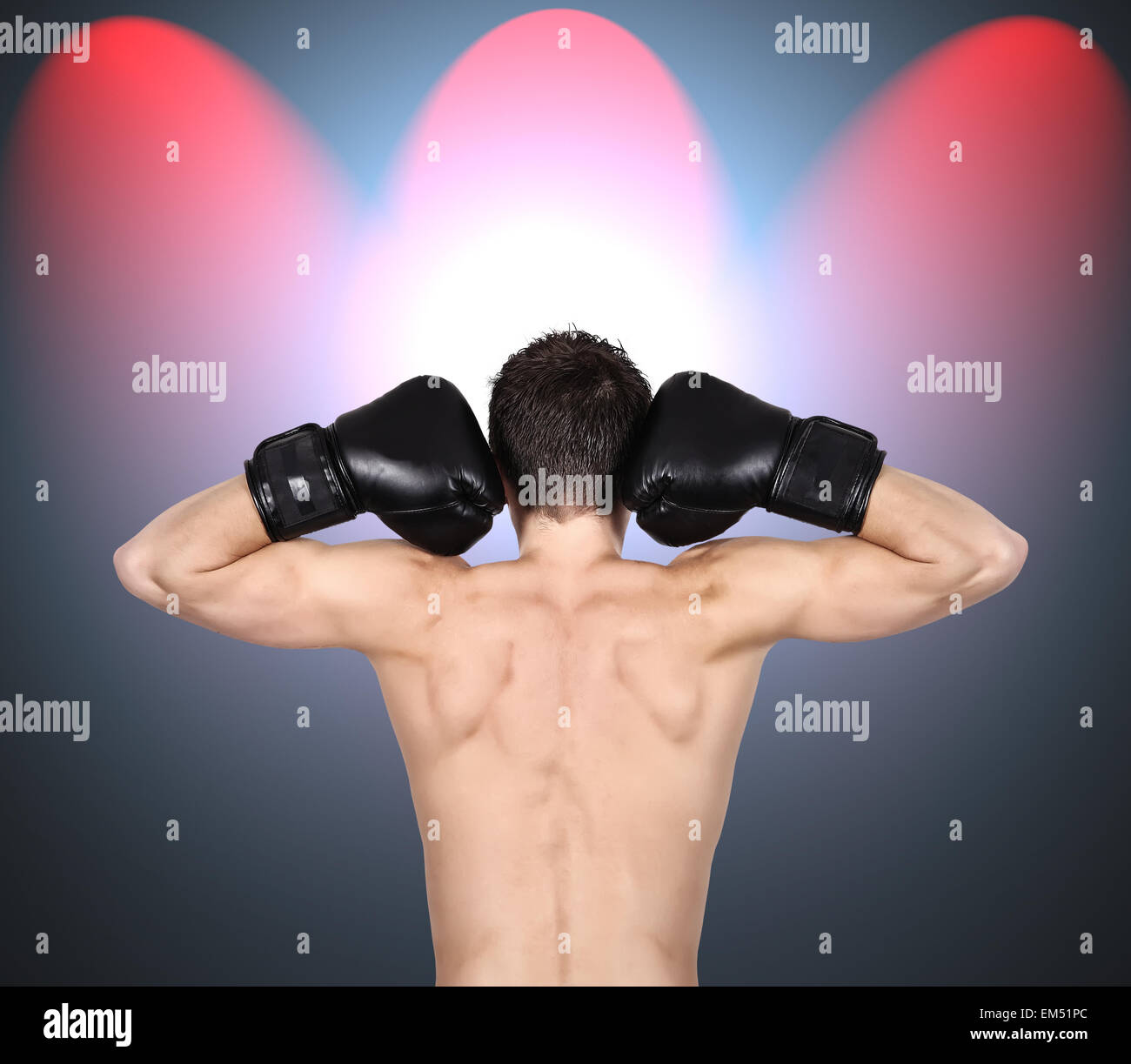 boxer standing with his back under the spotlight Stock Photo - Alamy