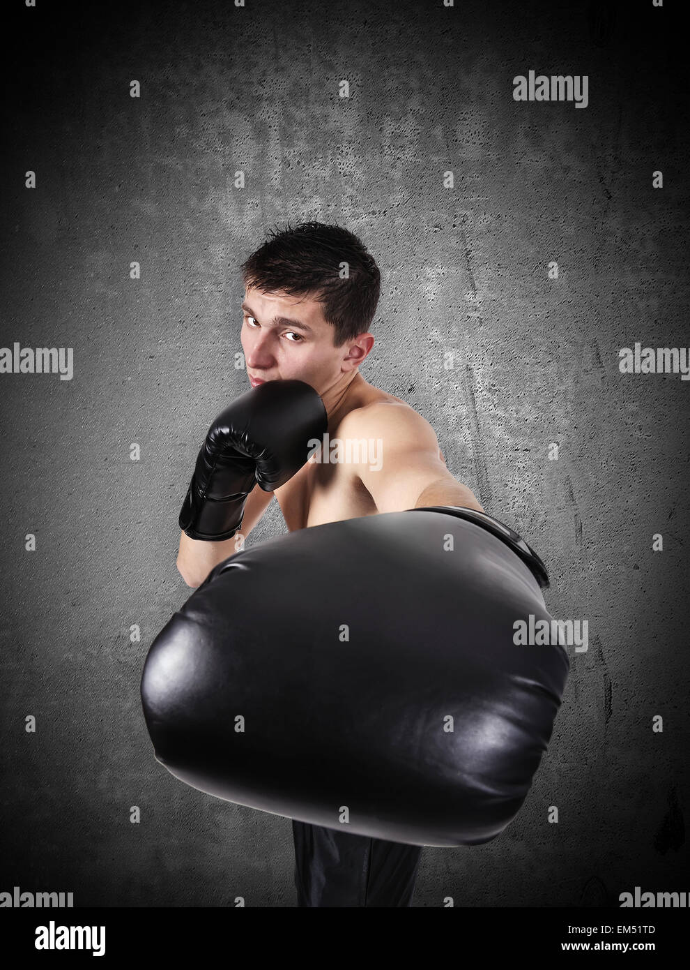 Young boxer strikes on a gray background Stock Photo - Alamy