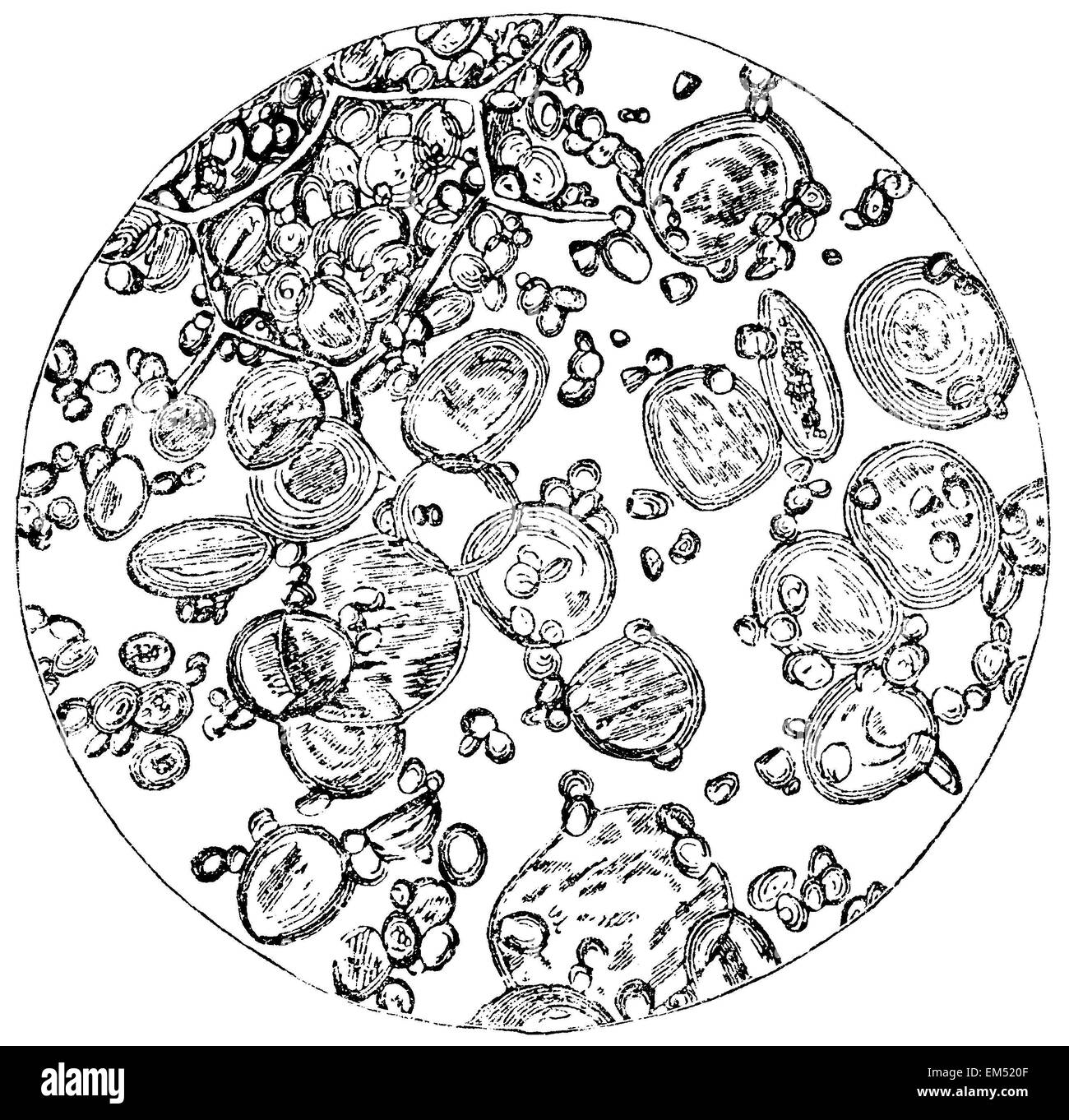 Flour line hi-res stock photography and images - Alamy