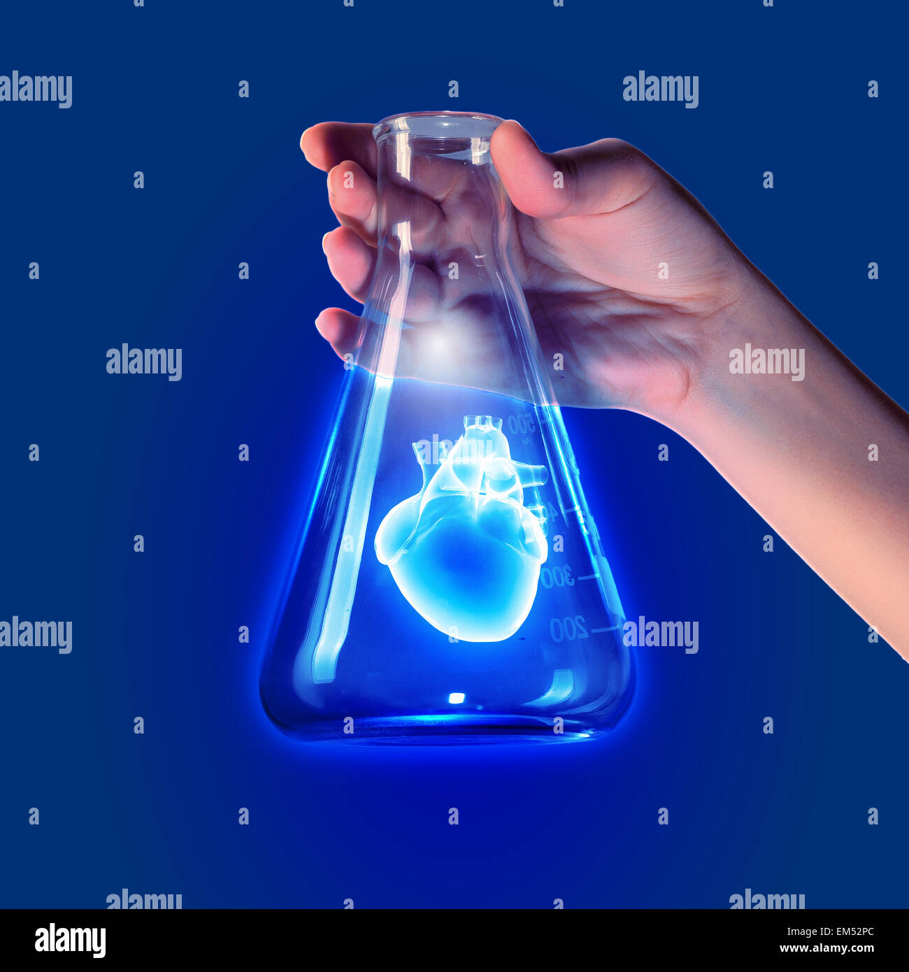 Human heart in test tube Stock Photo - Alamy