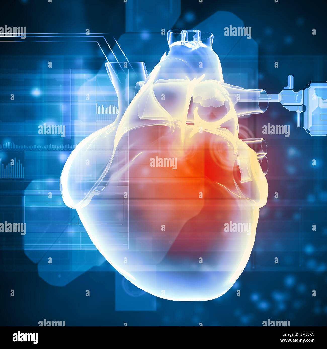 Human heart beats Stock Photo - Alamy