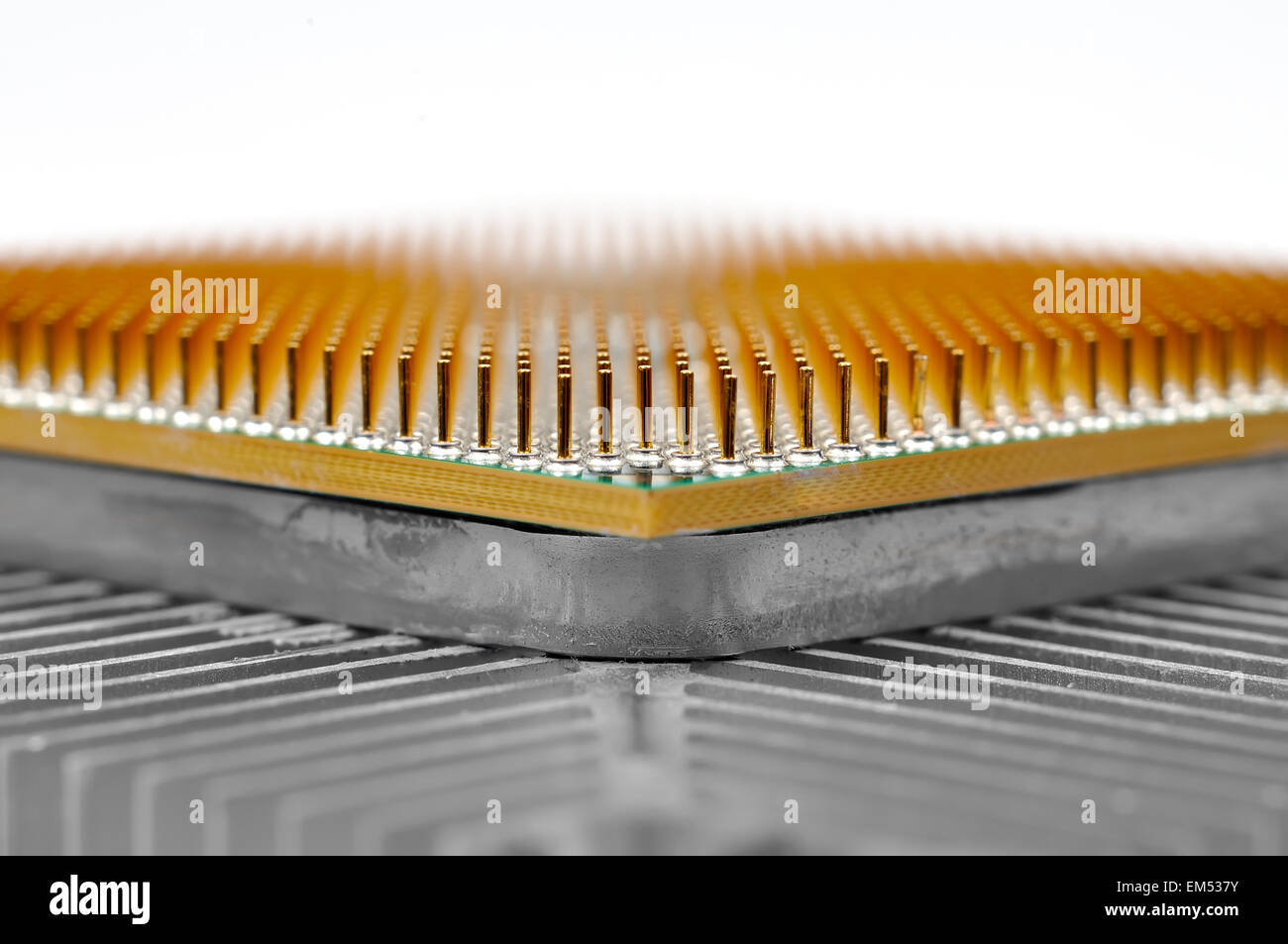 Computer chip and brain hi-res stock photography and images - Alamy