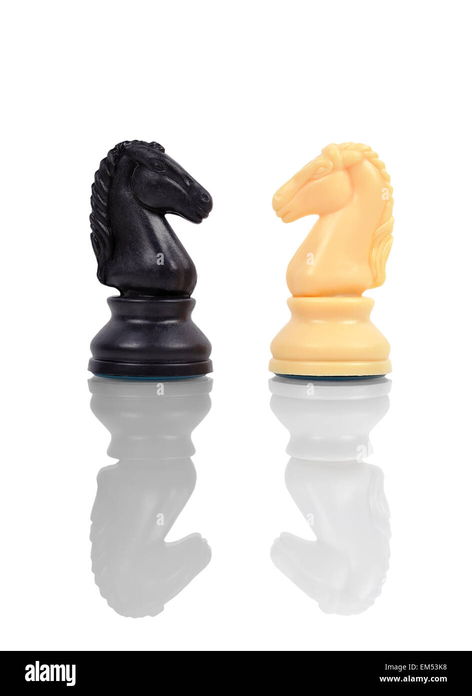 black and white chess knights with reflection on white background Stock ...