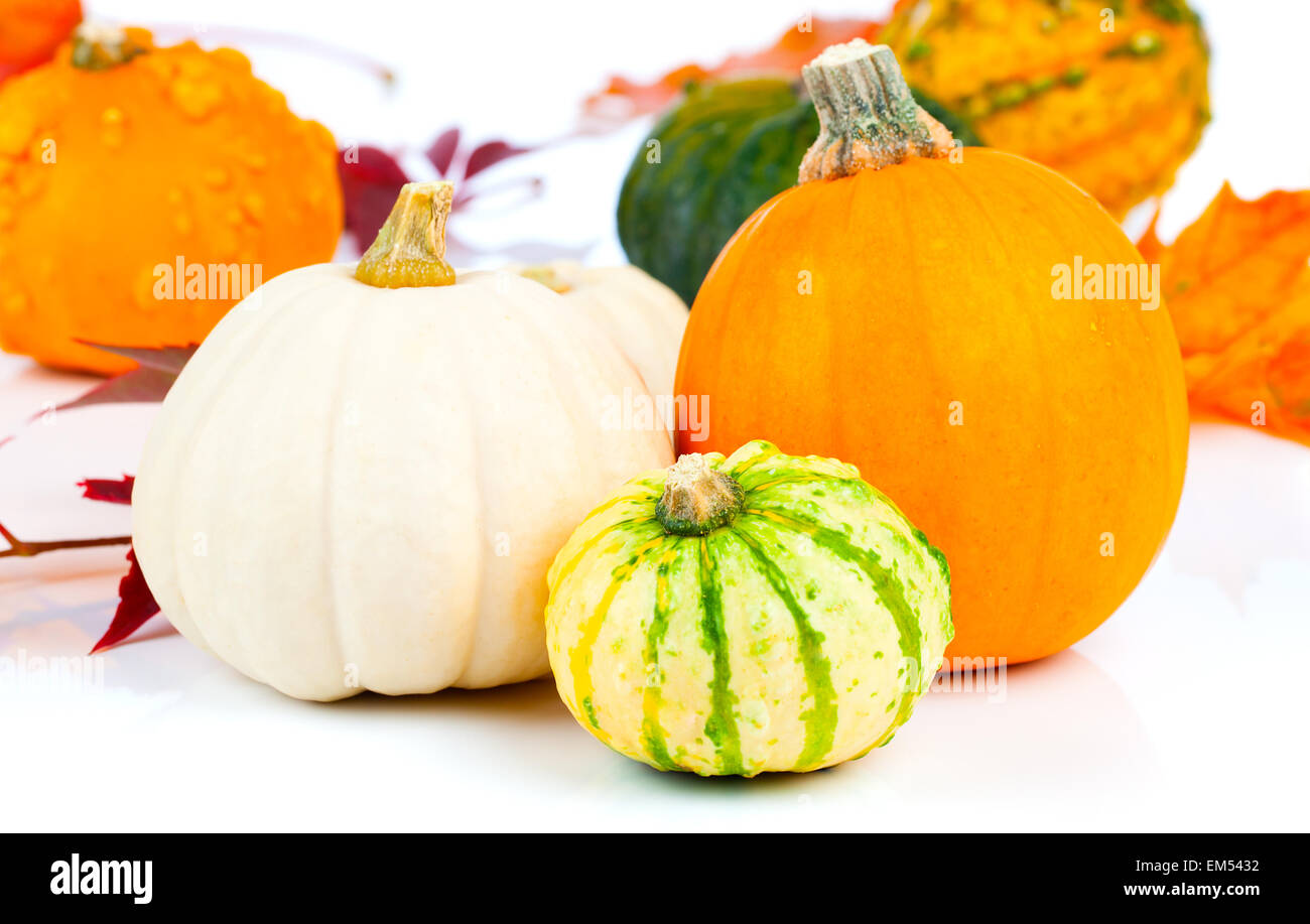 Cucurbita pumpkins assortment hi-res stock photography and images - Alamy