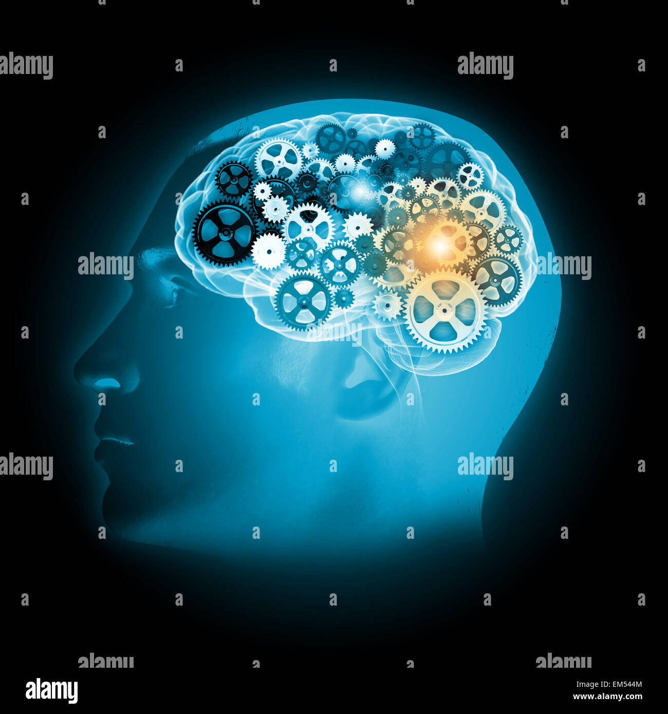 Human brain mechanisms hi-res stock photography and images - Alamy