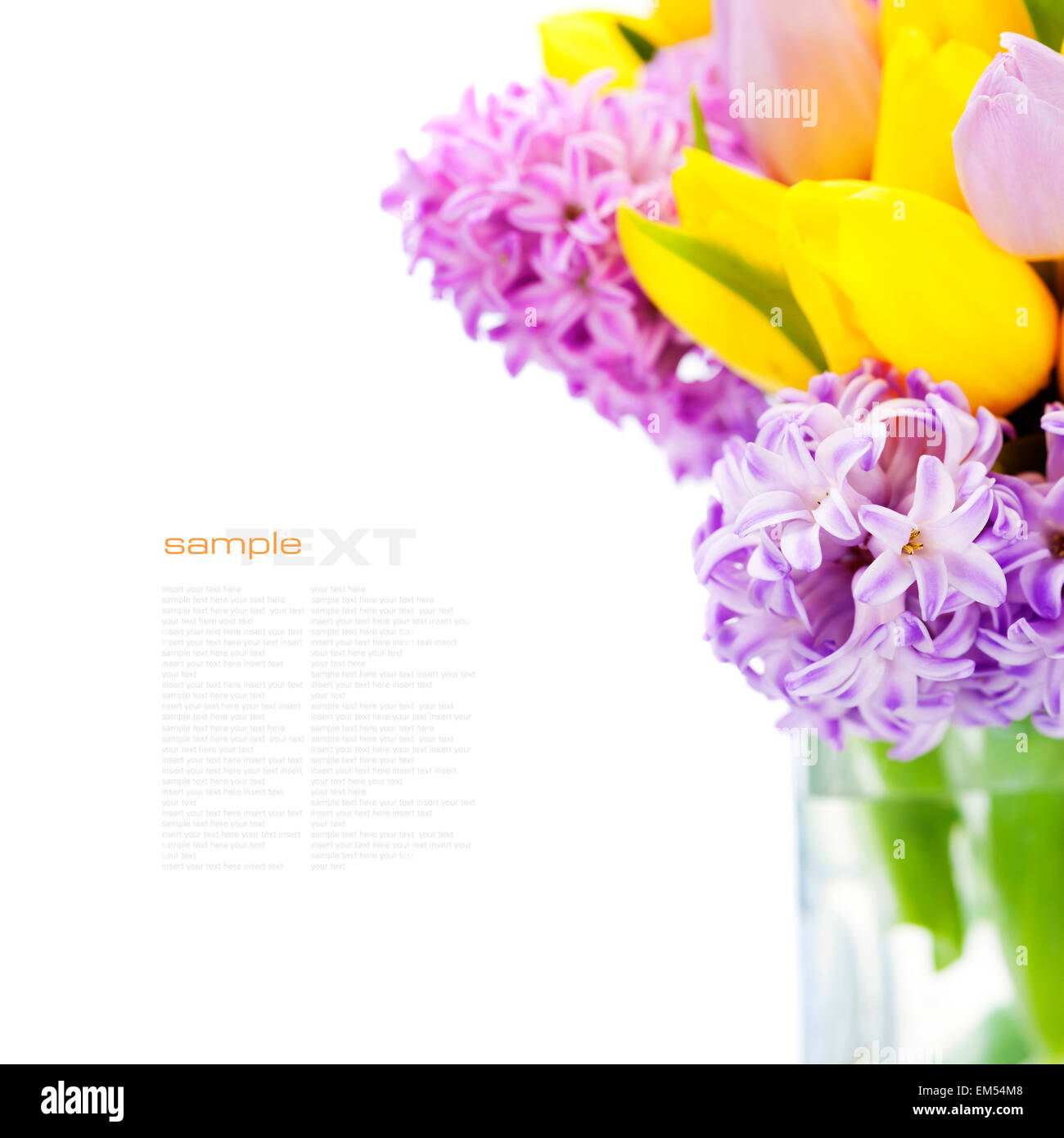 Beautiful spring flowers Stock Photo - Alamy