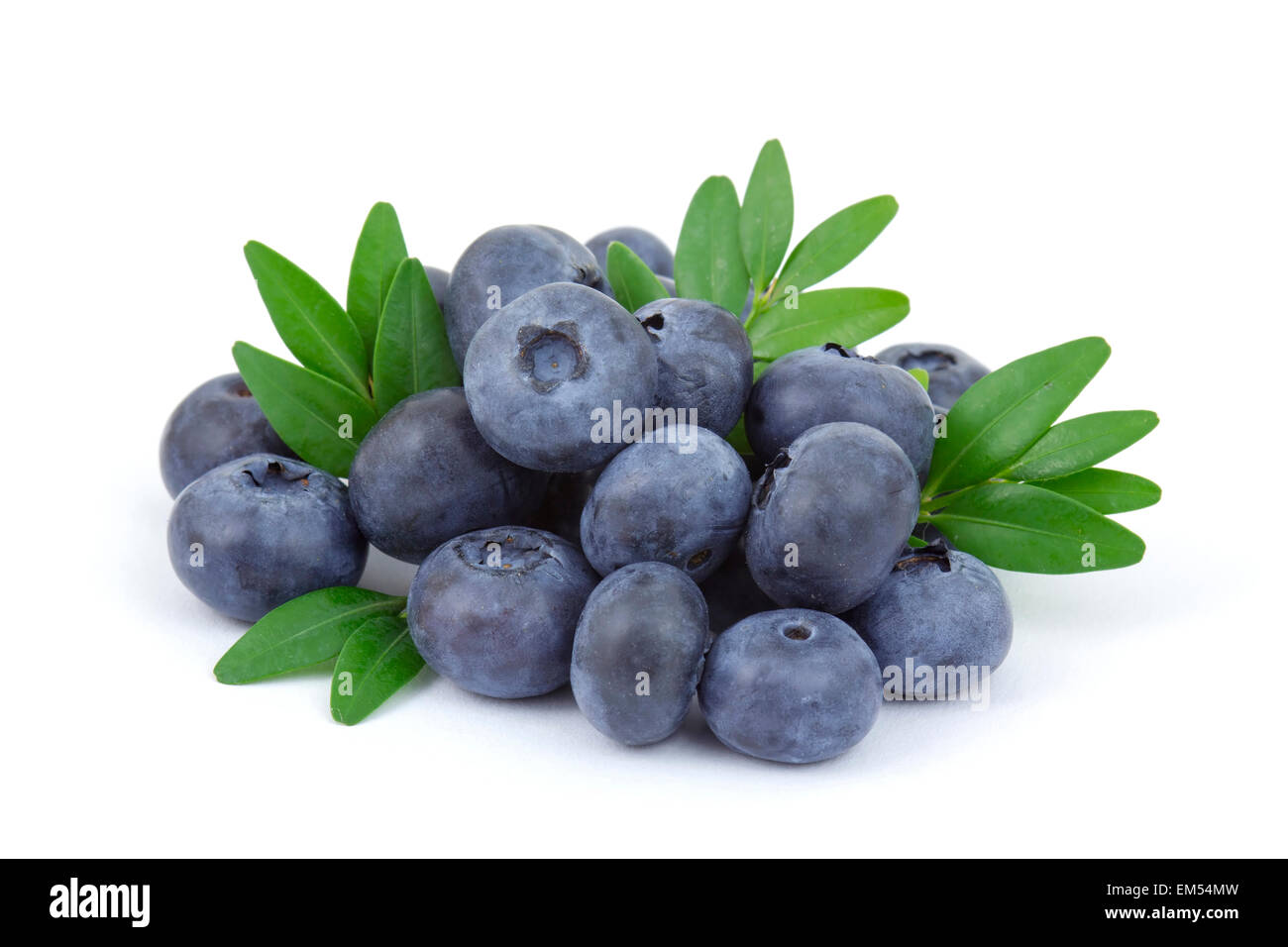 Fresh blueberries background copy Cut Out Stock Images & Pictures - Alamy