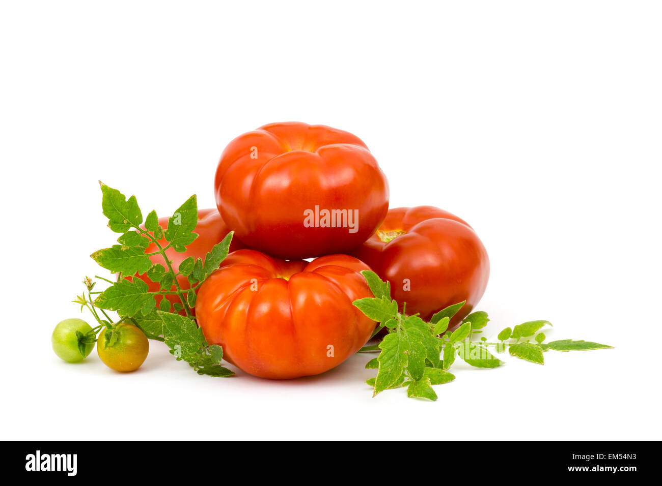 Small green leaves cherry Cut Out Stock Images & Pictures - Alamy