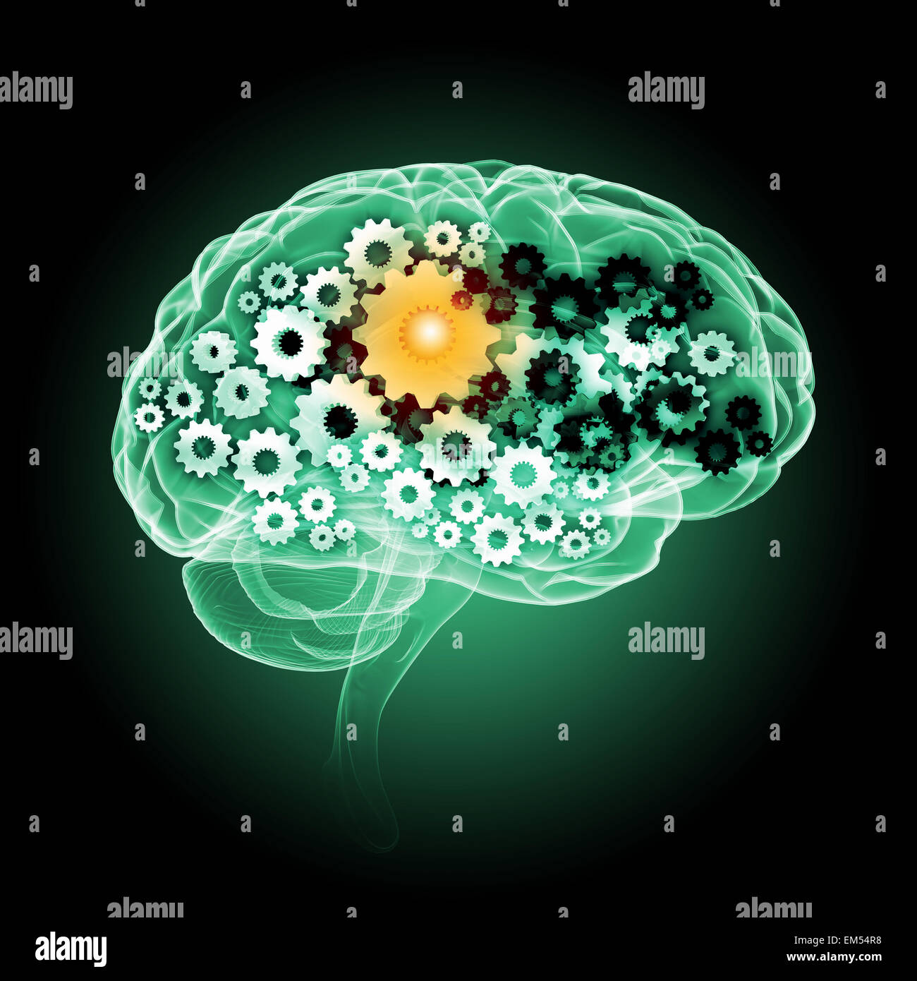 Human brain mechanisms hi-res stock photography and images - Alamy