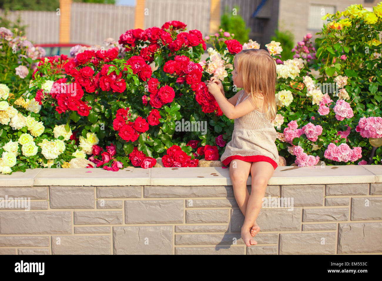Little adorable girl sitting near colorful flowers in the garden Stock ...