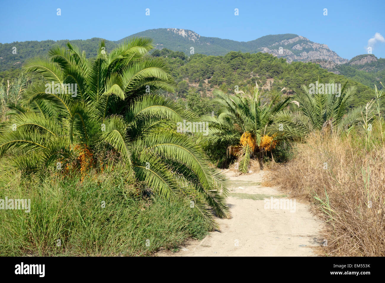 Farming fruit turkey hi-res stock photography and images - Alamy