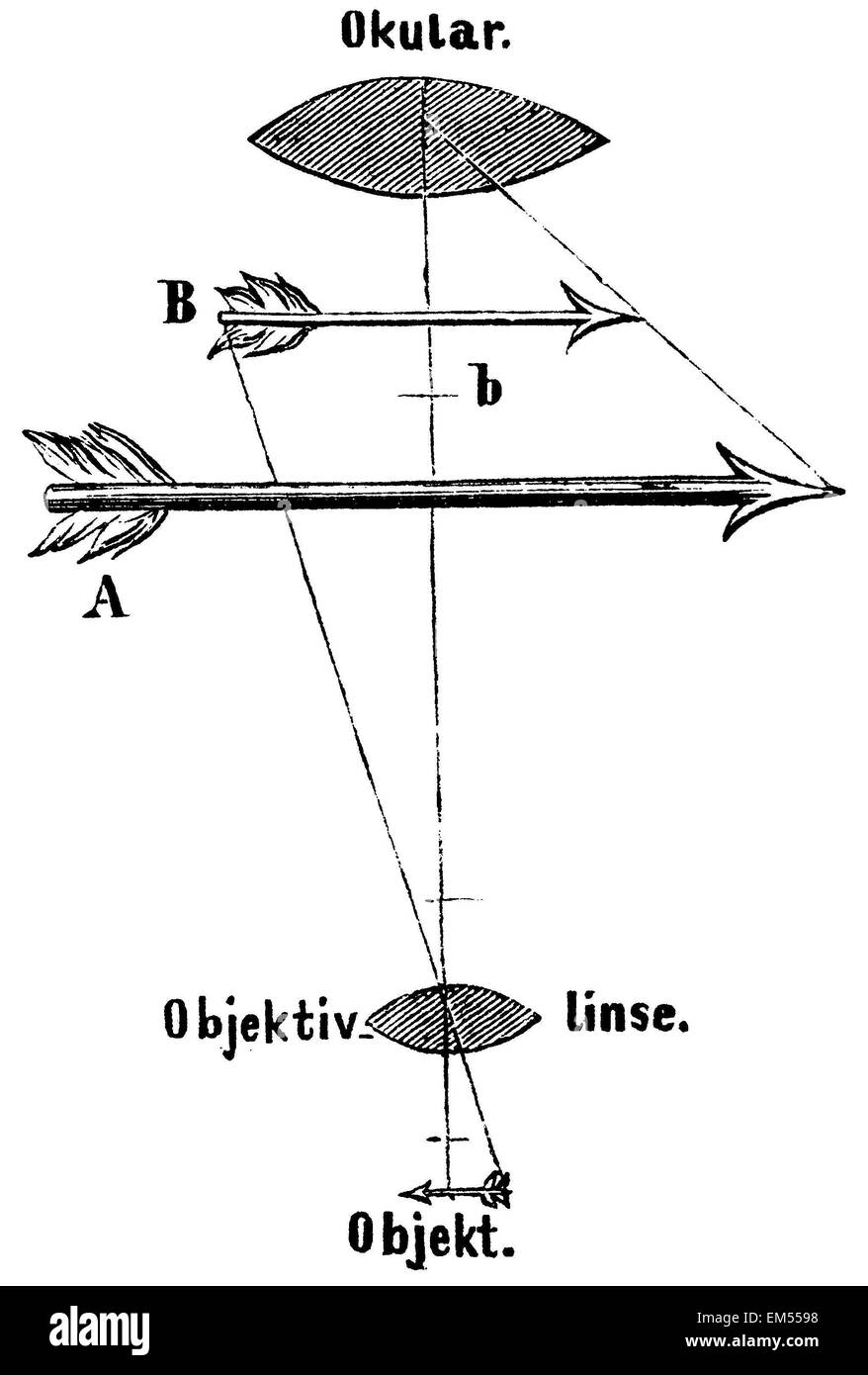 Monday September 25 Parts Of A Compound Light Microscope