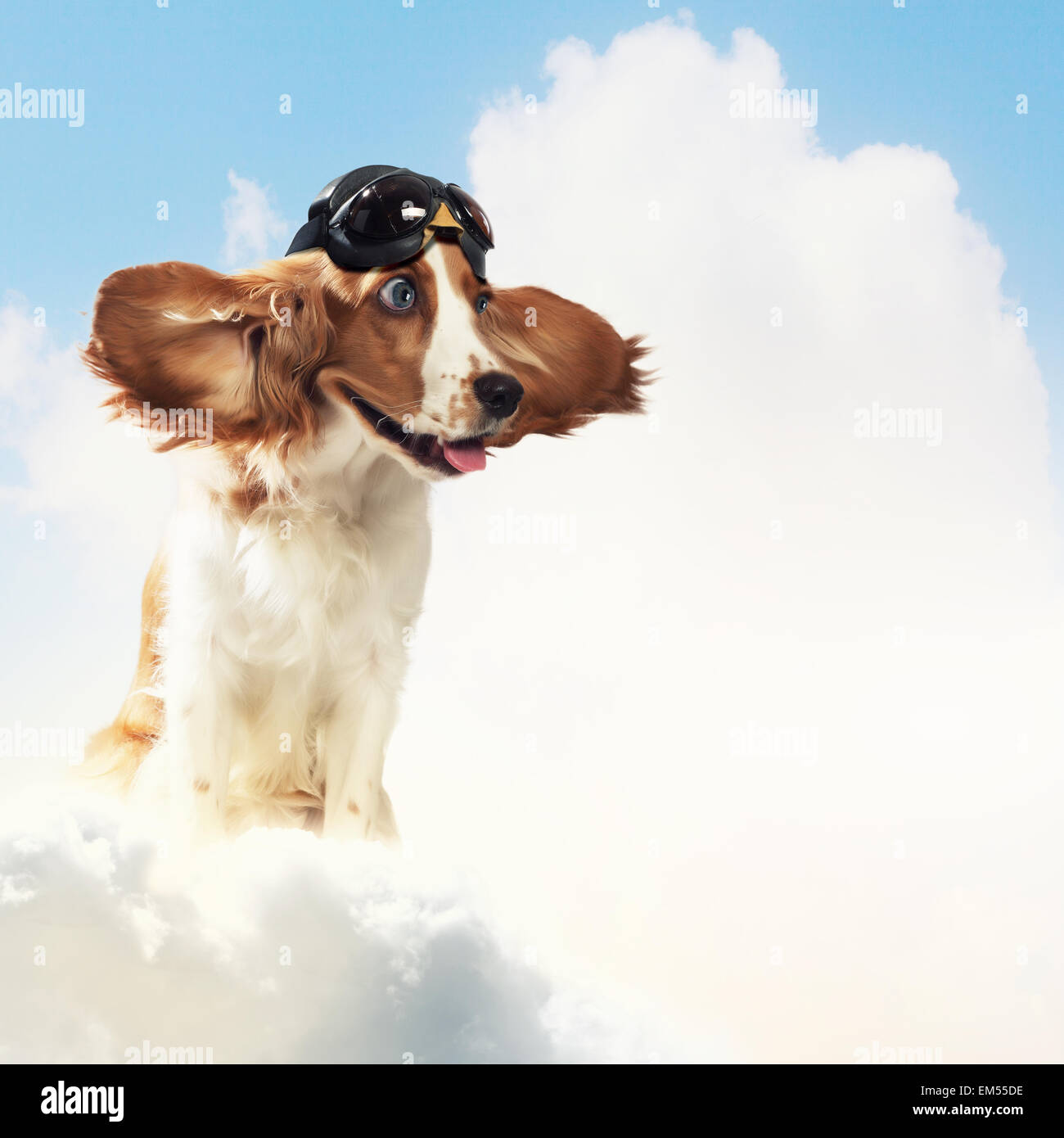 Pilot wearing helmet hi-res stock photography and images - Alamy